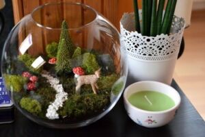 Fuentes De Inspiración Para Crear Tu Terrario