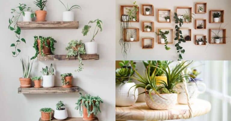 Ideas Para Hermosas Estanterías Rústicas